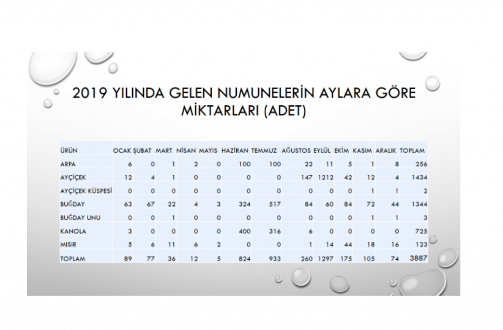 2019 YILI HUBUBAT LABORATUVARI FAALİYET RAPORU – Bandırma Ticaret Borsası